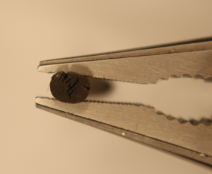 Case Study: Finding a Rapid Gas Decompression Resistance Solution ...